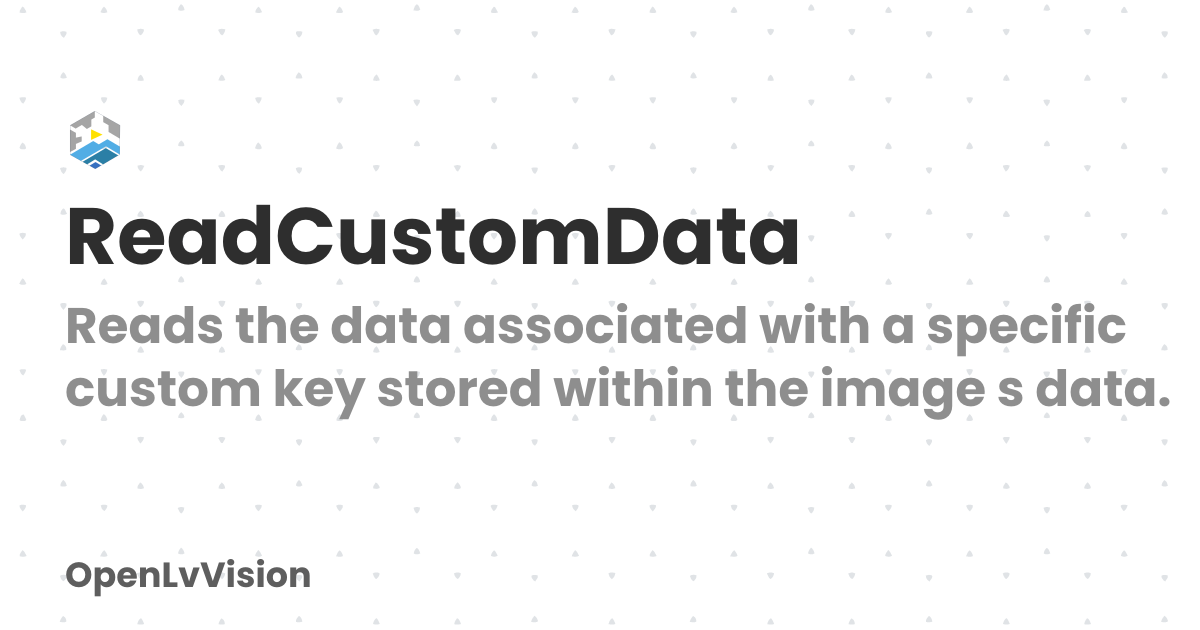 ReadCustomData | OpenLvVision